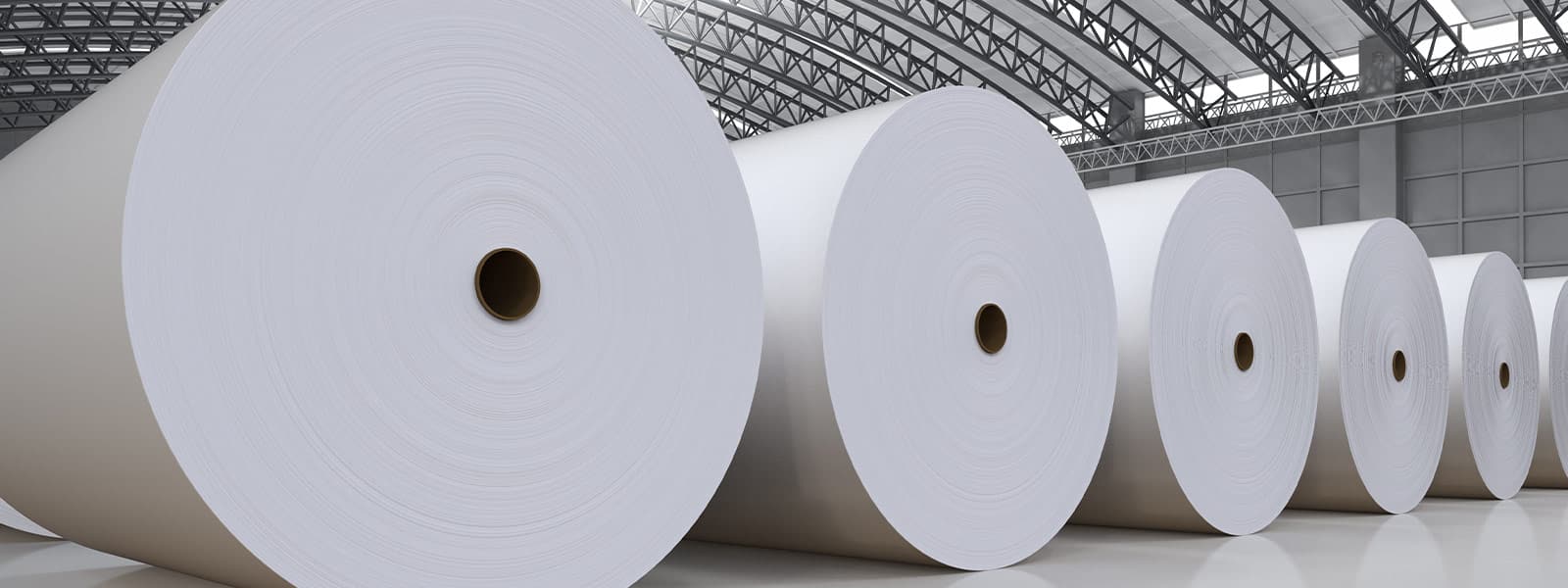 Pulp Mill Training - Operations & Orientation