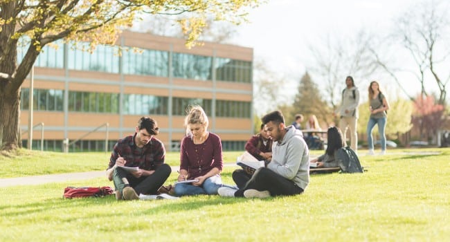 Online Wellness and Safety Courses for College Students