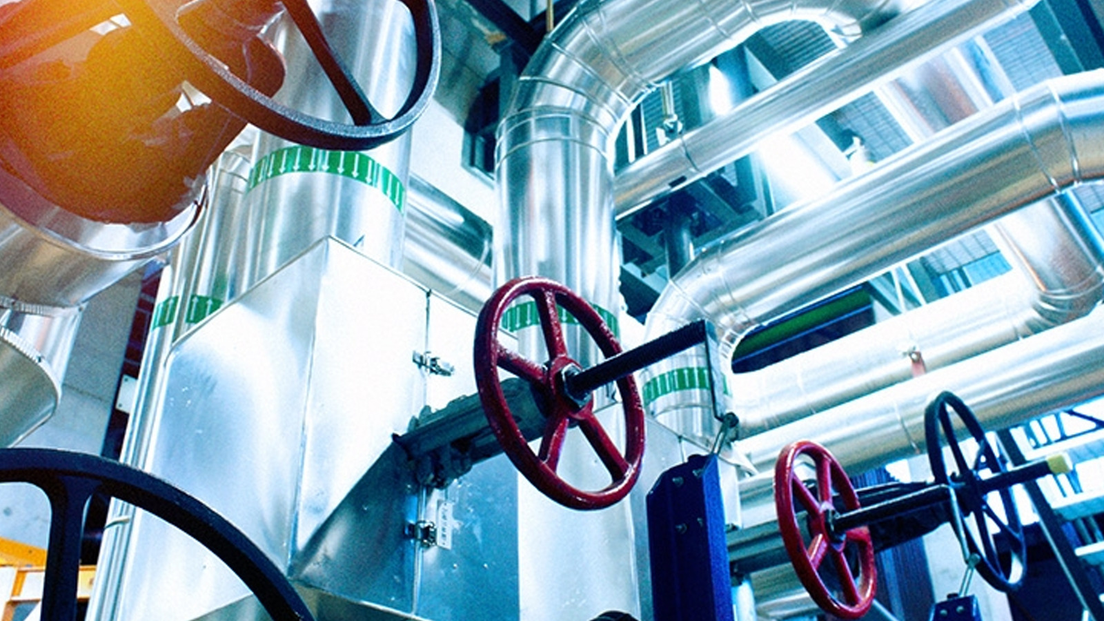 Plant Science: Process Dynamics and Measurement for Schools | Vector ...